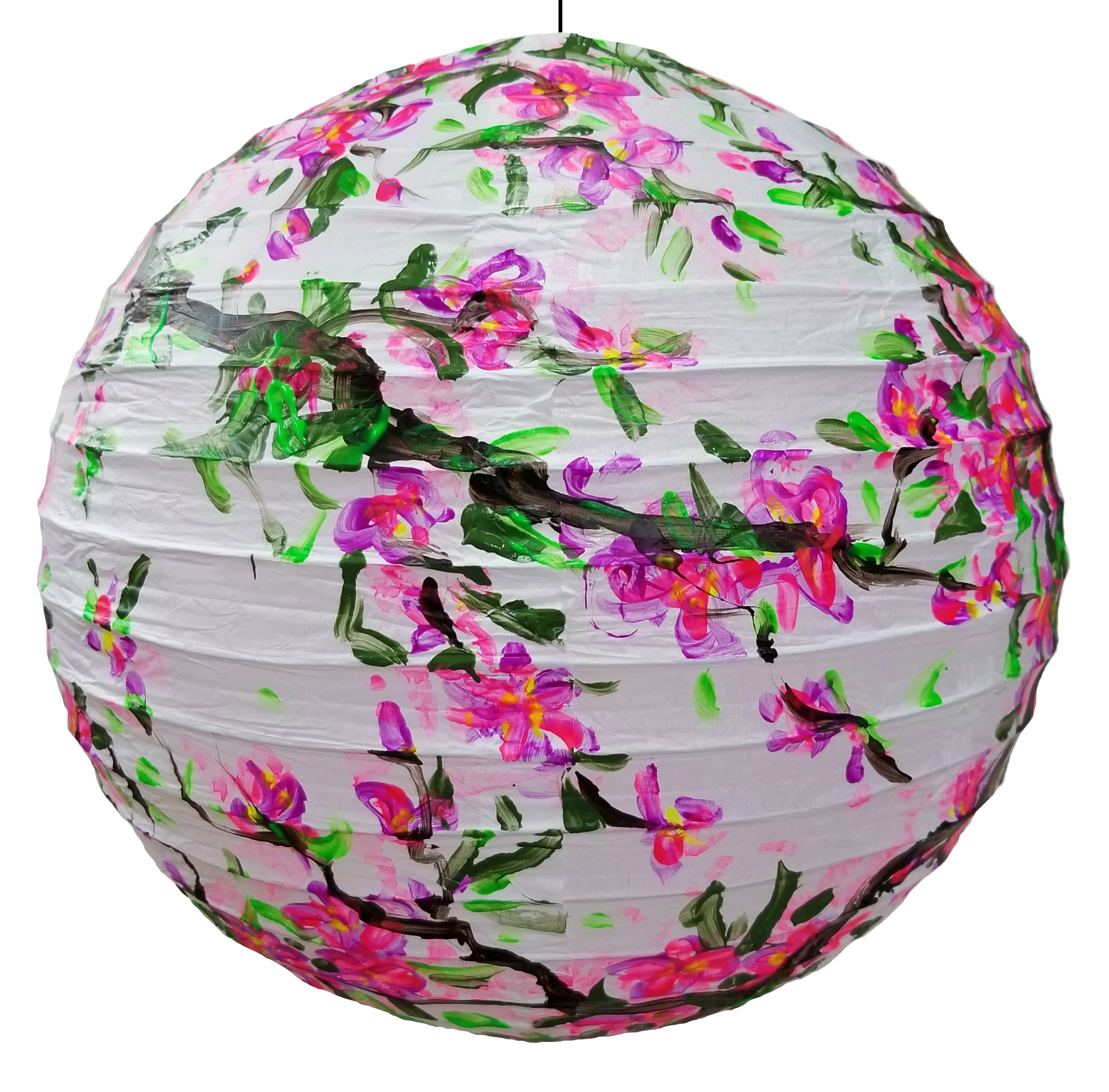 Cherry Blossom Paper Lantern - Pinot's Palette Painting