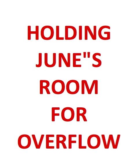 Hold for Overflow - 3 hours - Pinot's Palette Painting